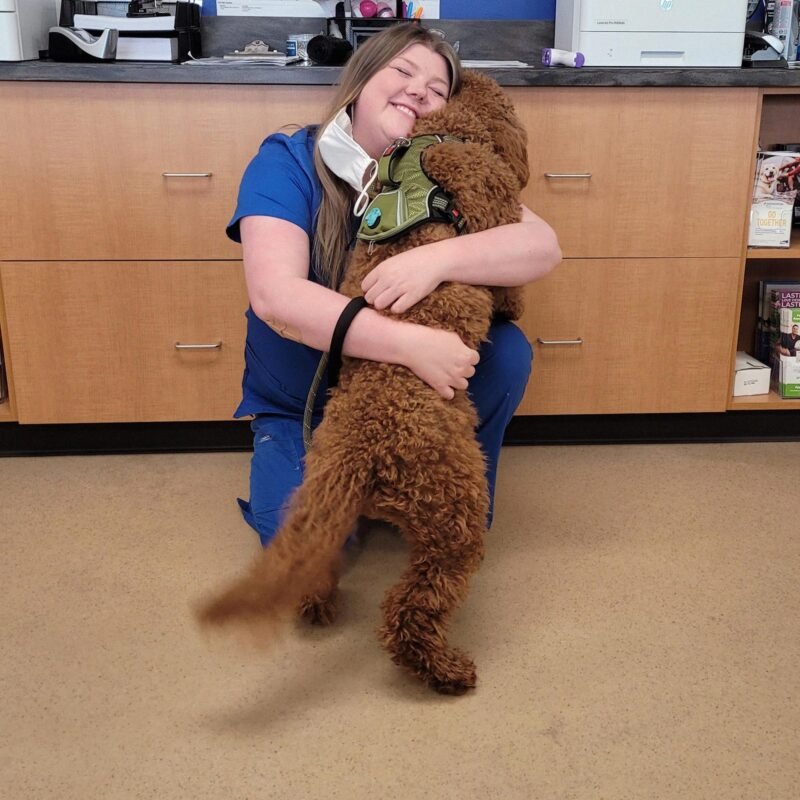 Veterinarians Serving Cincinnati and Northern KY - Animal Clinic Near You