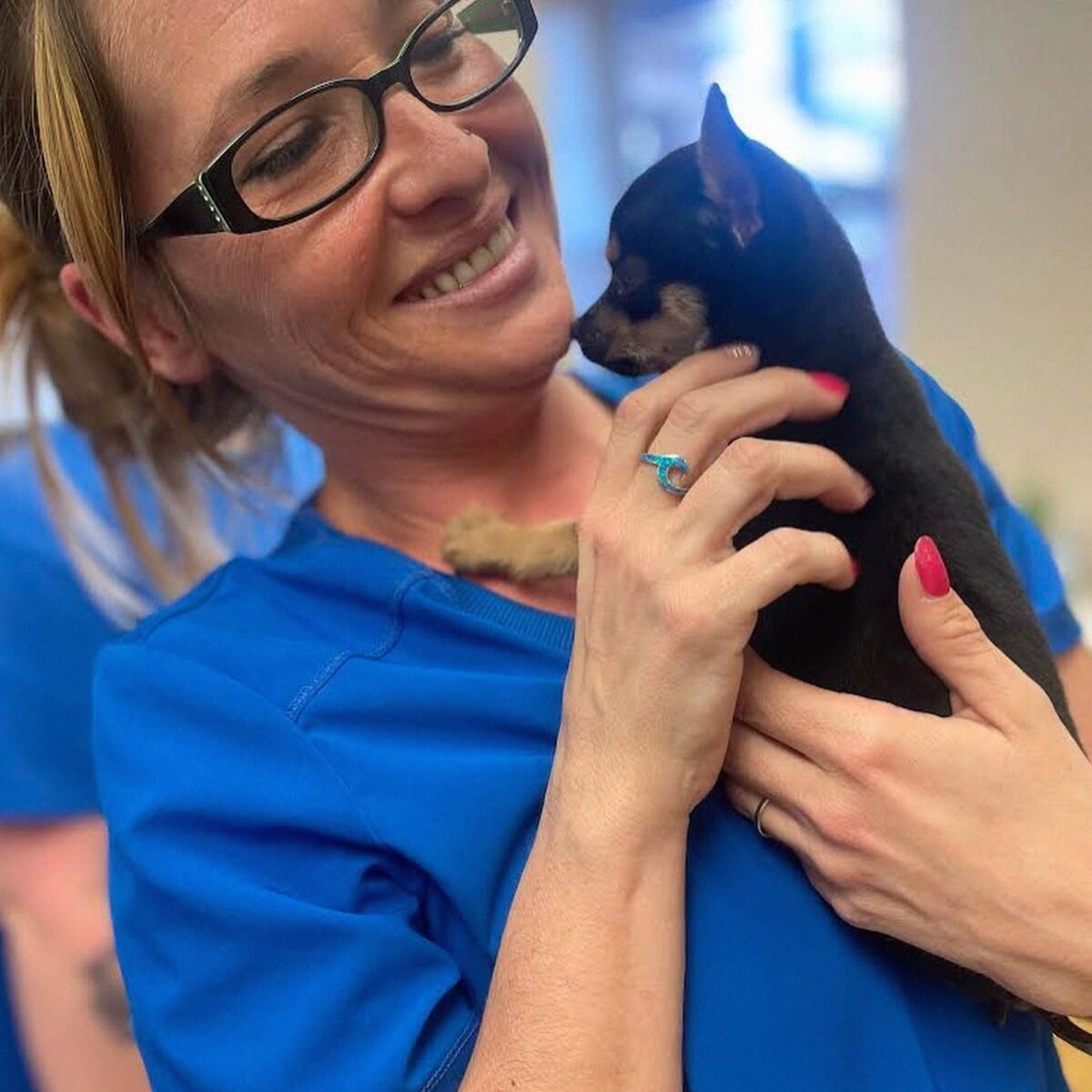 Springdale - Noahs Ark Animal Clinics