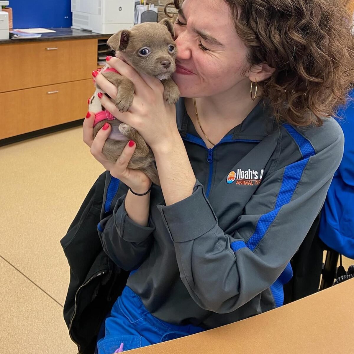 Springdale - Noahs Ark Animal Clinics