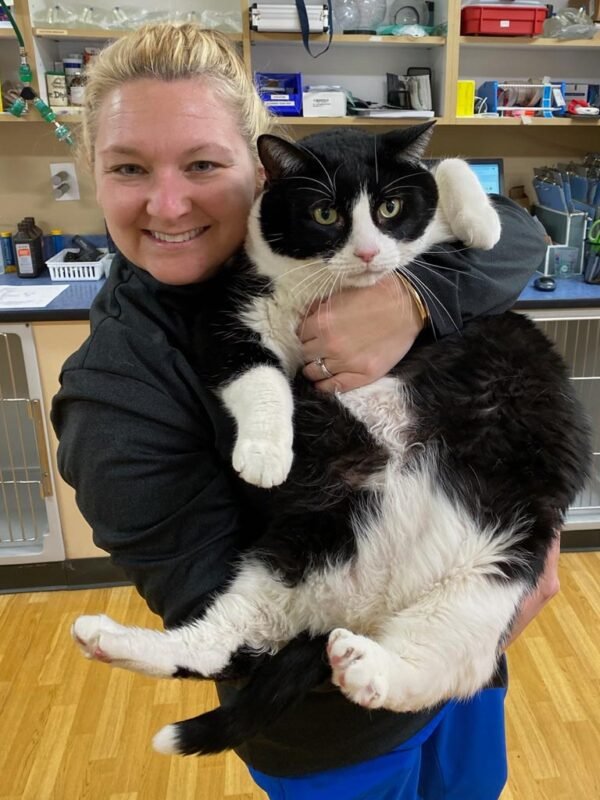 Veterinarians Serving Cincinnati and Northern KY - Animal Clinic Near You