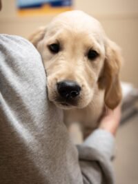 Veterinarians Serving Cincinnati and Northern KY - Animal Clinic Near You