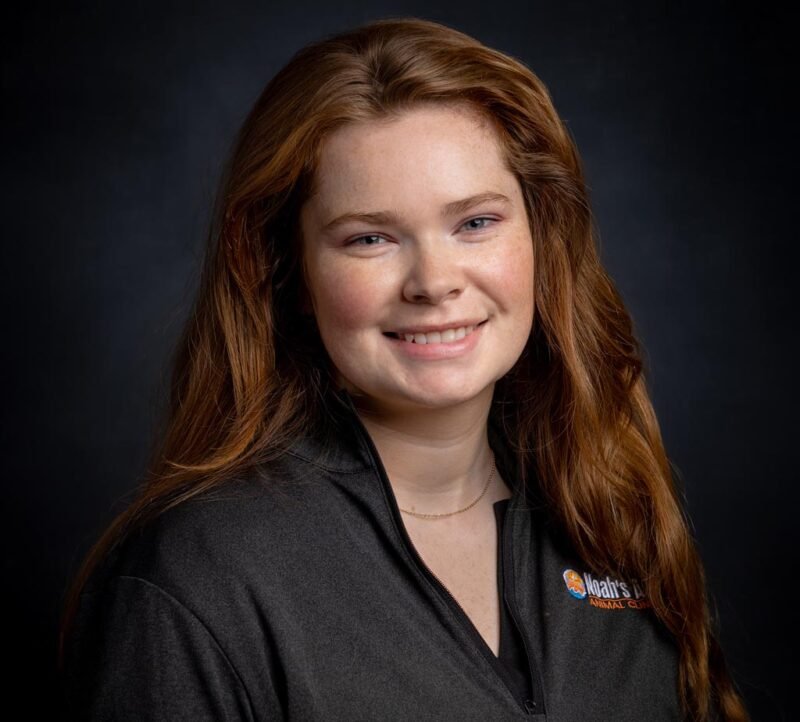 Our Team - Noahs Ark Animal Clinics